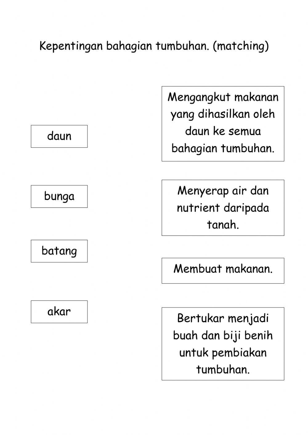 Kenali bahagian dan kepentingan haiwan dan tumbuhan worksheet | Live ...