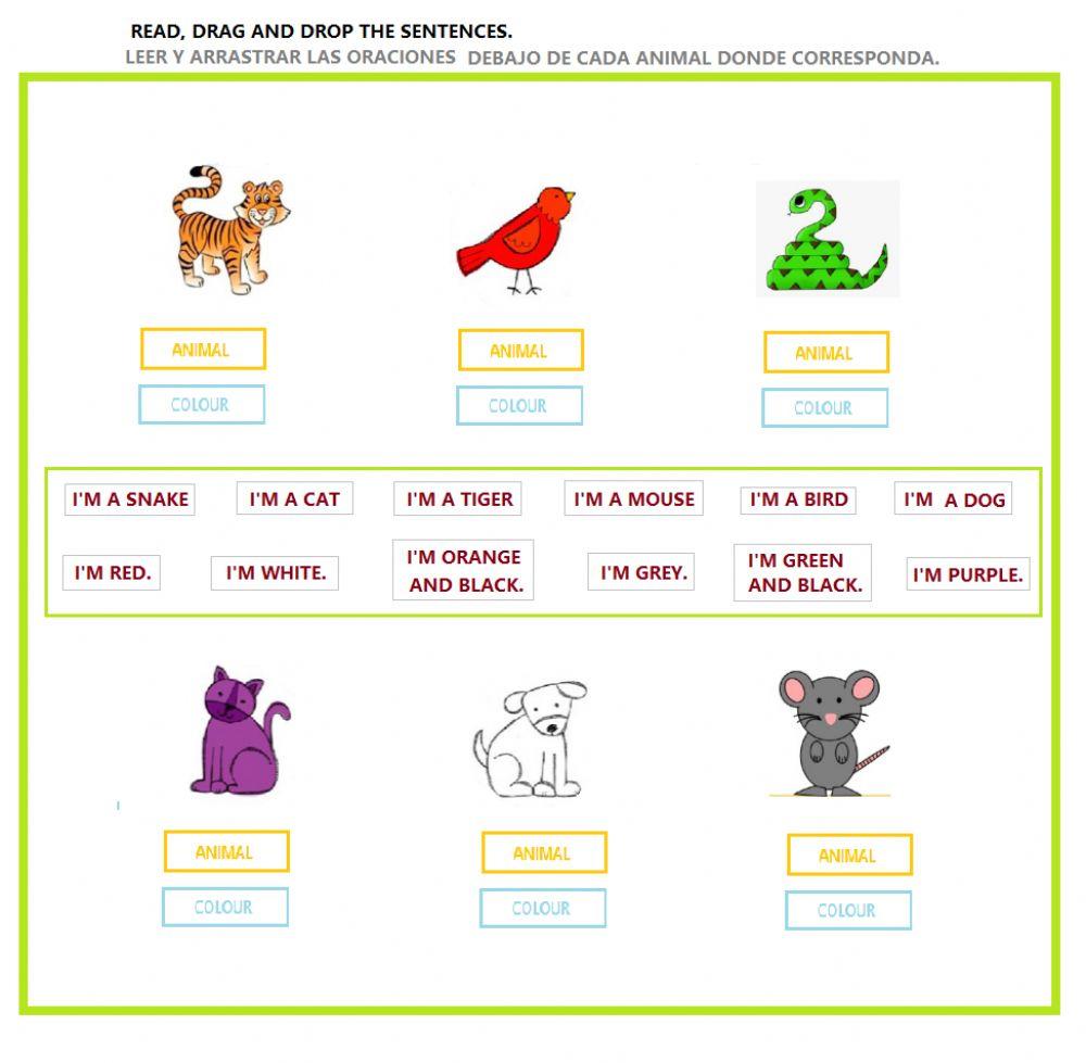 Animals and colours online activity | Live Worksheets