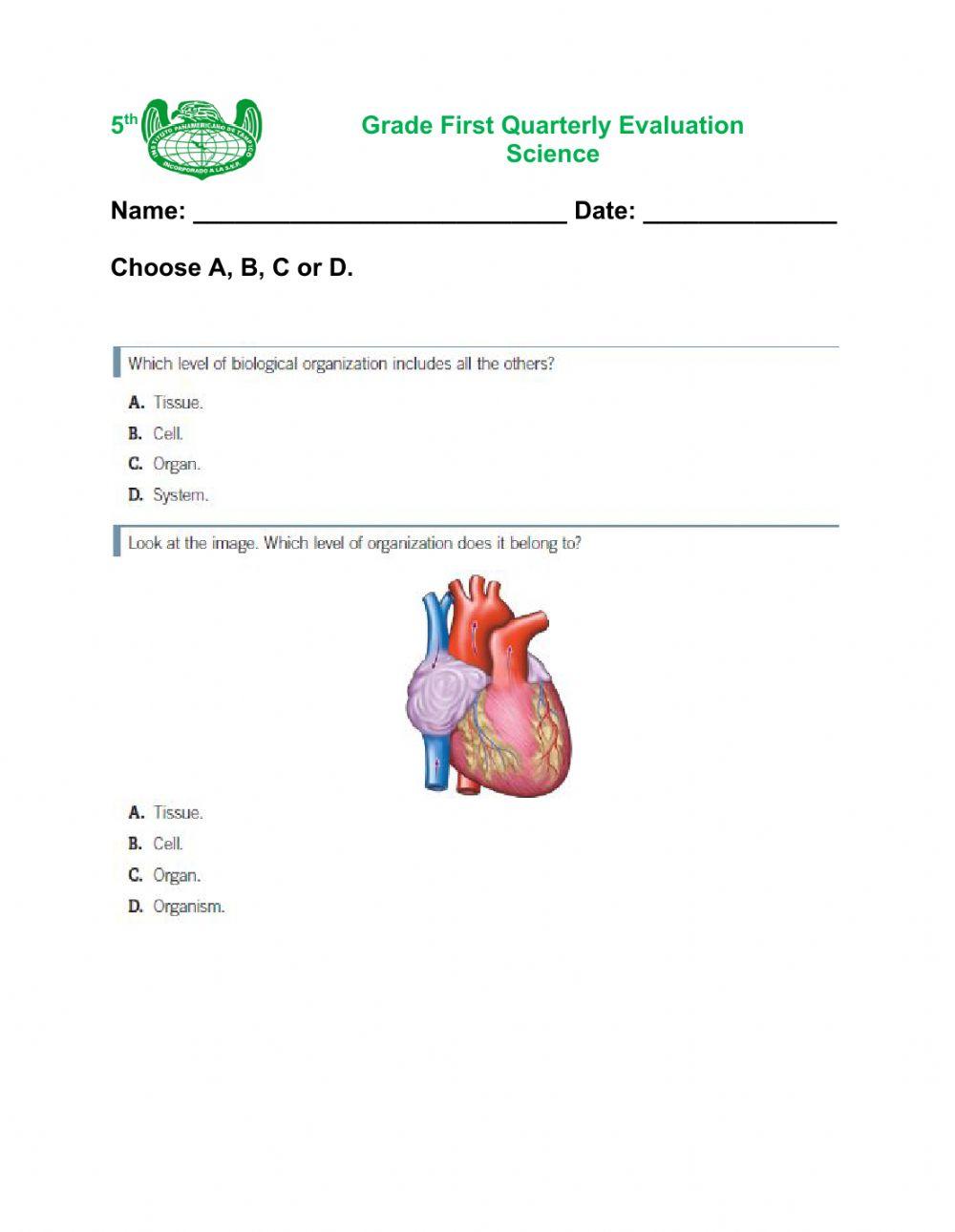 473782 | Science | Adlin Patricia Rivera Alvarez