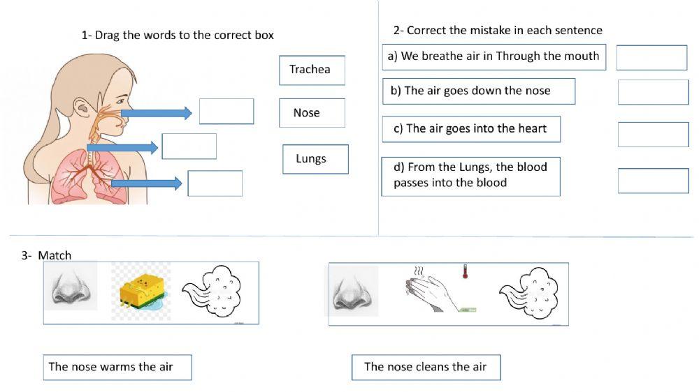 Systems | Live Worksheets