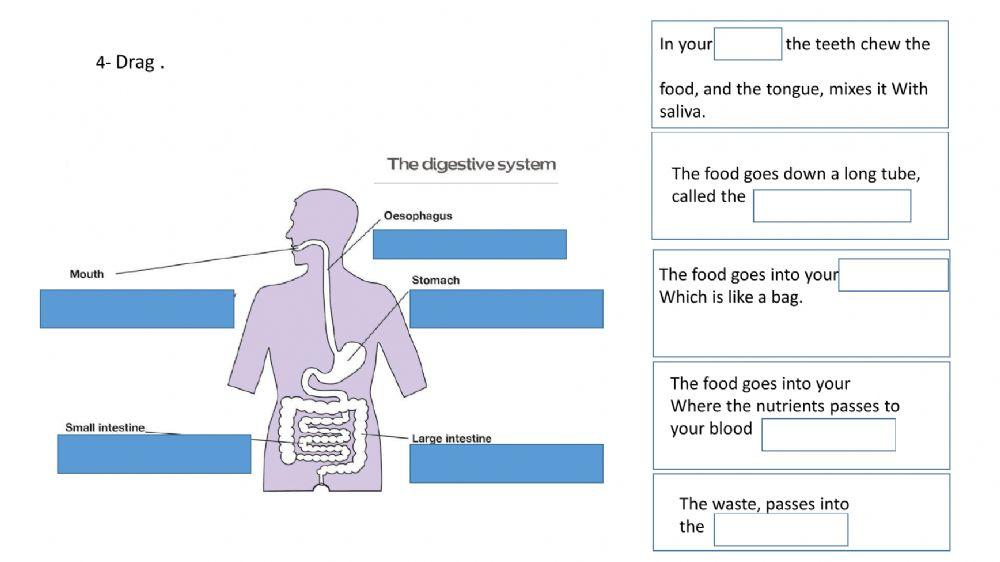 Systems | Live Worksheets