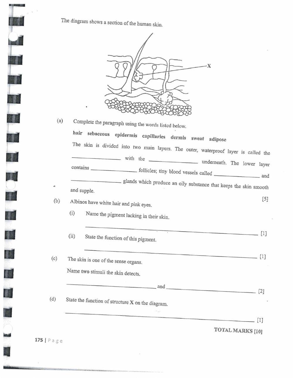 grade 9: Excret… | Free Interactive Worksheets | 6208287