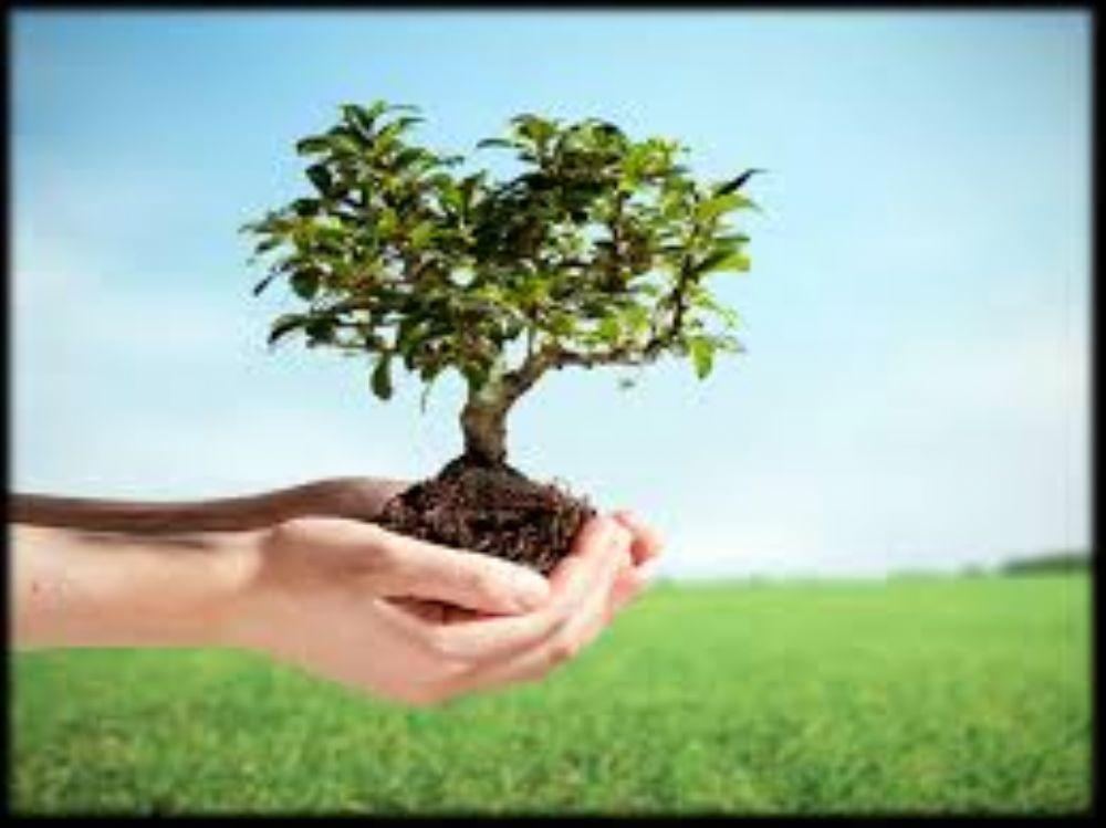 Darvo worksheet | Live Worksheets