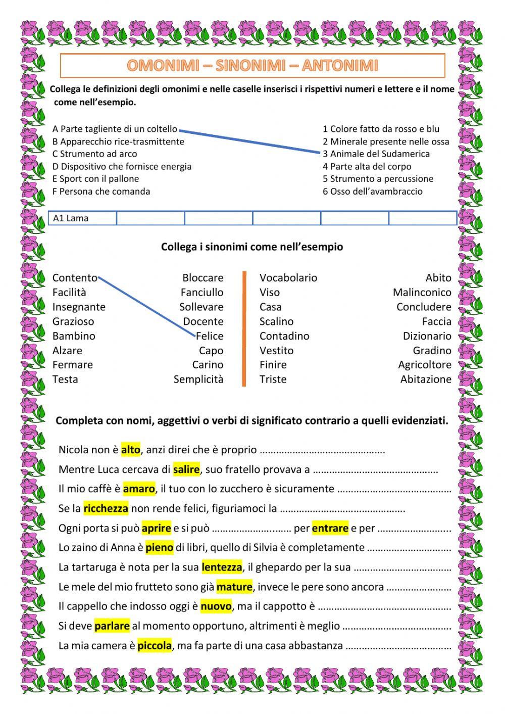 480466 | Omonimi, sinonimi, antonimi | Orietta Raso