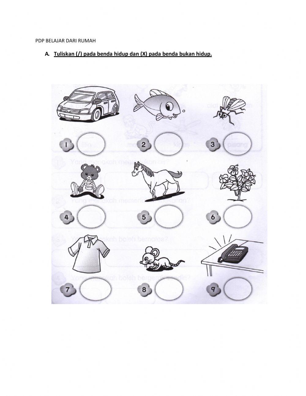 Sains interactive worksheet for Tahun 1 | Live Worksheets
