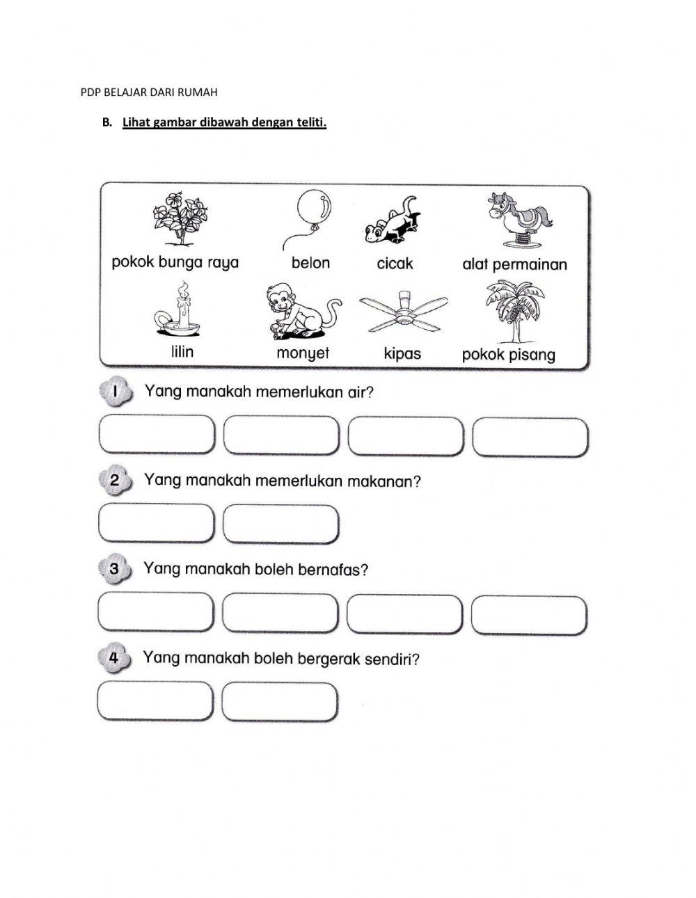 Sains interactive worksheet for Tahun 1 | Live Worksheets