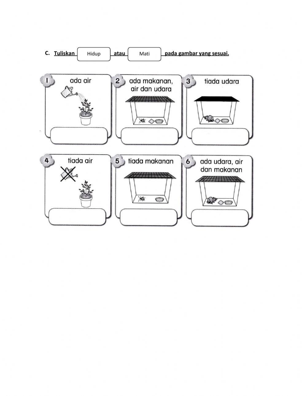 Sains interactive worksheet for Tahun 1 | Live Worksheets