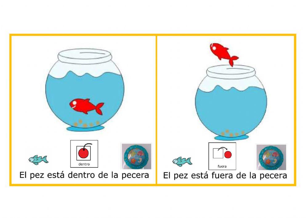 Dentro-fuera interactive exercise | Live Worksheets