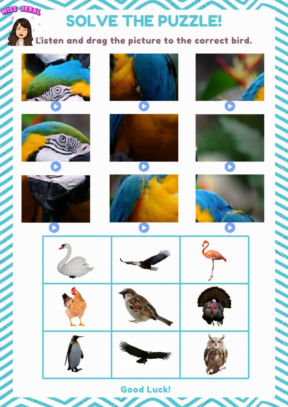 Bird Puzzle | Free Interactive Worksheets | 4400573