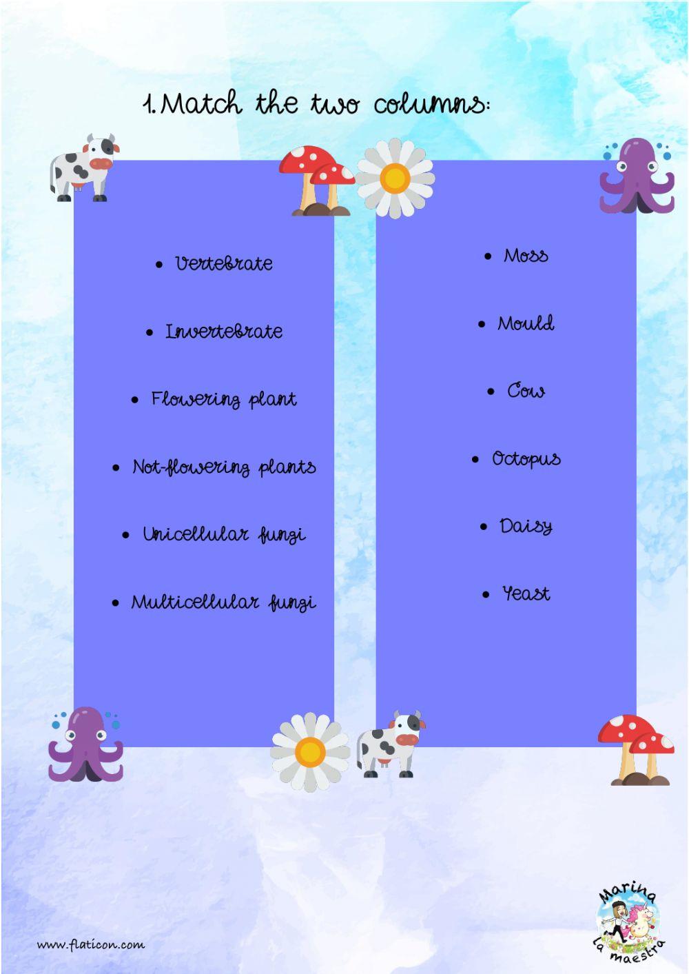 Match online exercise for 5º | Live Worksheets