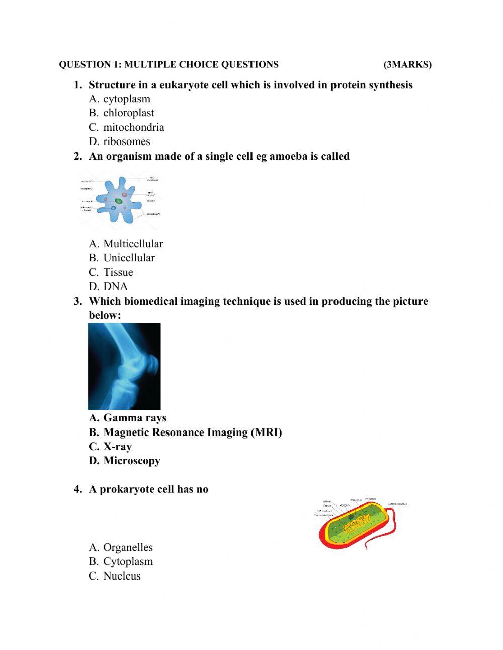 GRADE 9 BIOLOGY MAIN QUIZ VERSION 1 6216794 | MrBM | Live