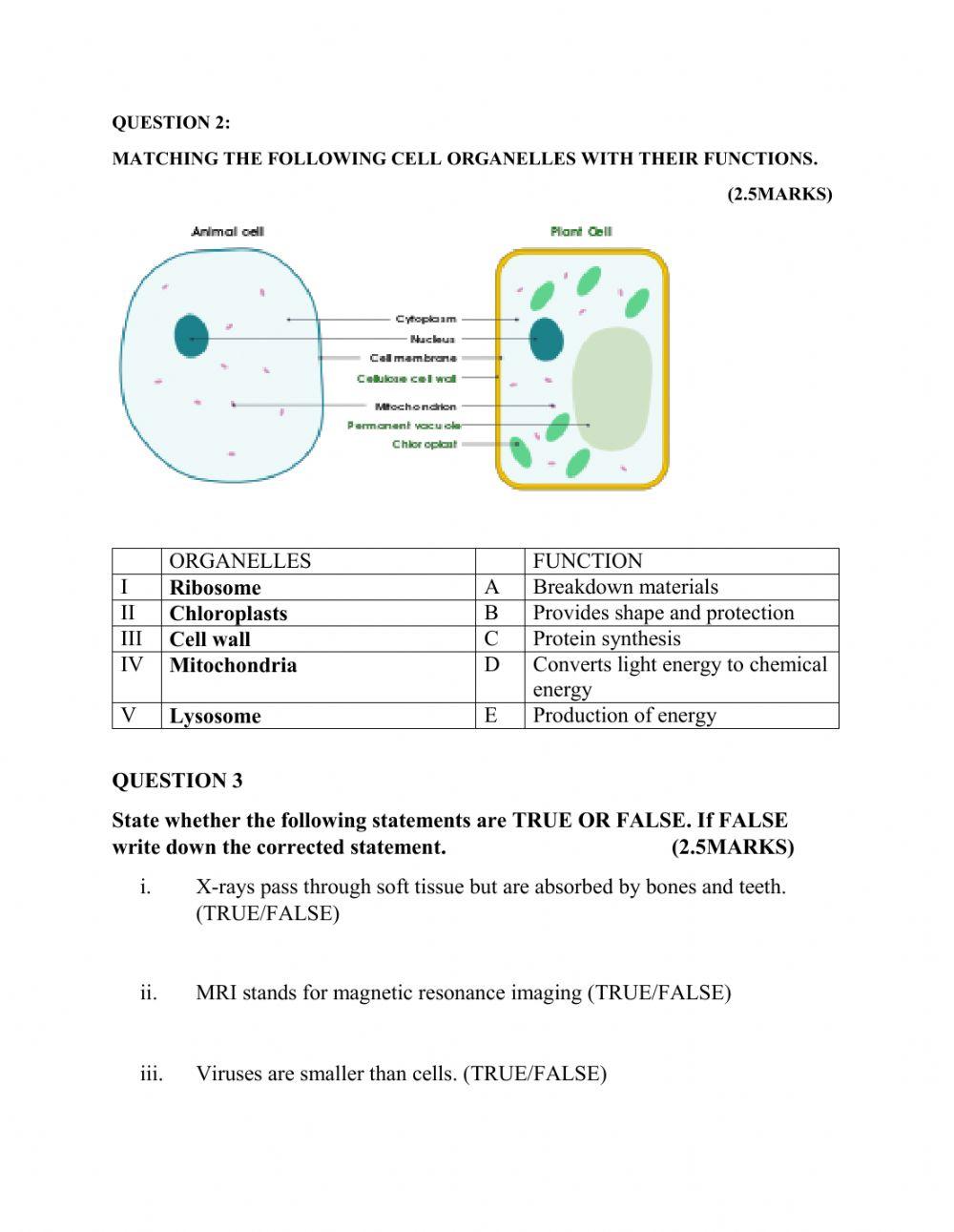 GRADE 9 BIOLOGY MAIN QUIZ VERSION 1 6216794 | MrBM | Live
