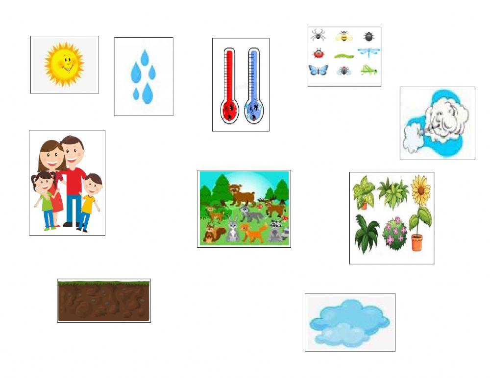 Living things N… | Free Interactive Worksheets | 485673