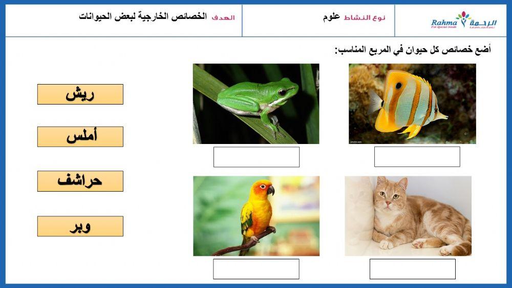 Animals skin 554402 | sendos | Live Worksheets
