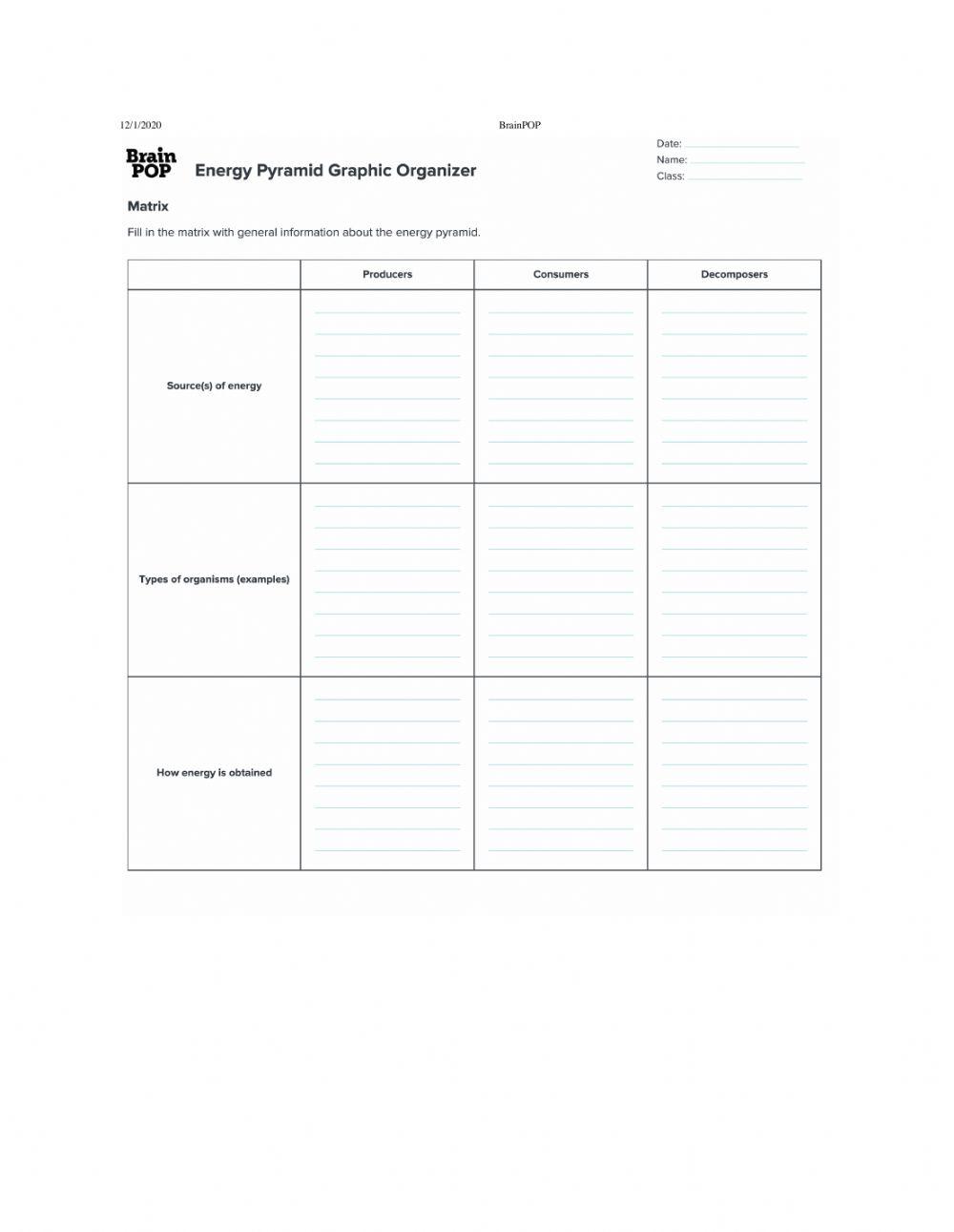 Category worksheet | Live Worksheets
