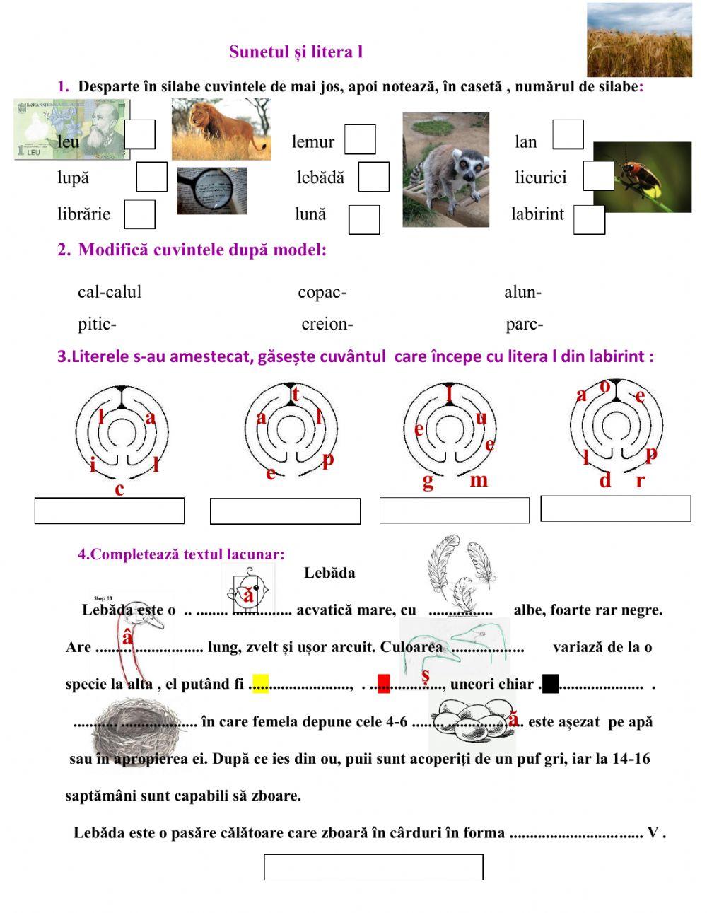 Sunetul ți litera l worksheet | Live Worksheets
