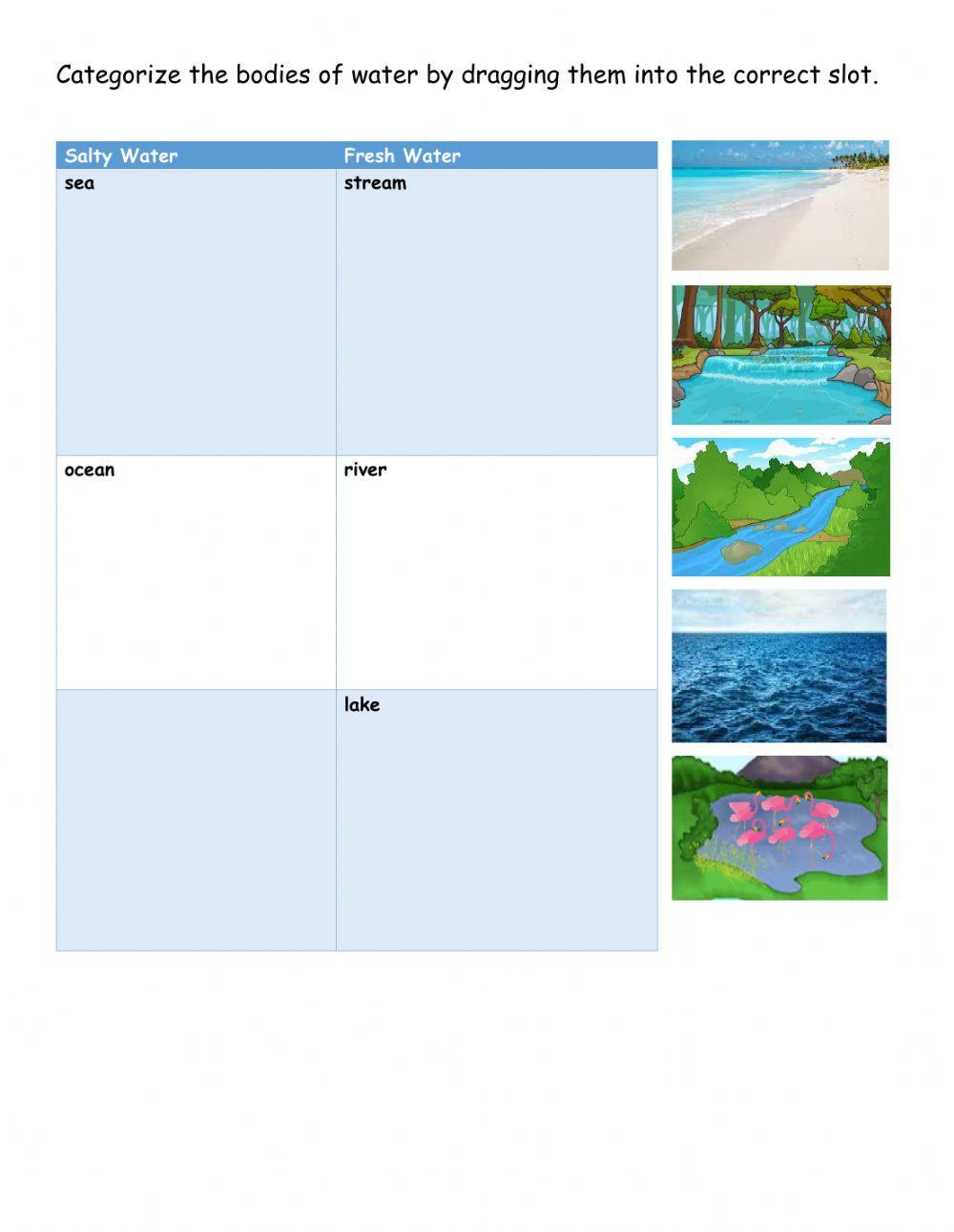 Bodies of Water | Free Interactive Worksheets | 555752