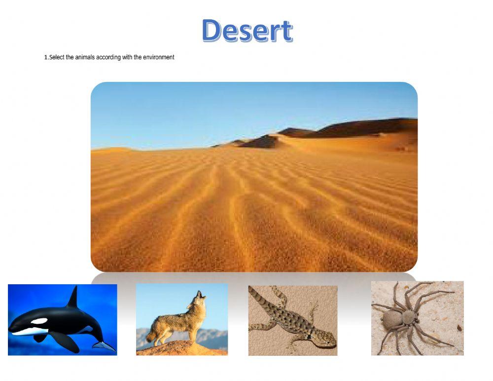 Environments interactive worksheet | Live Worksheets