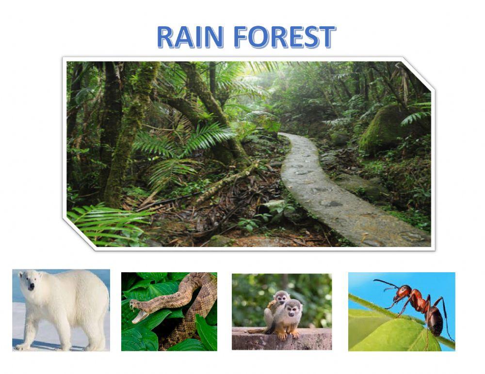 Environments interactive worksheet | Live Worksheets