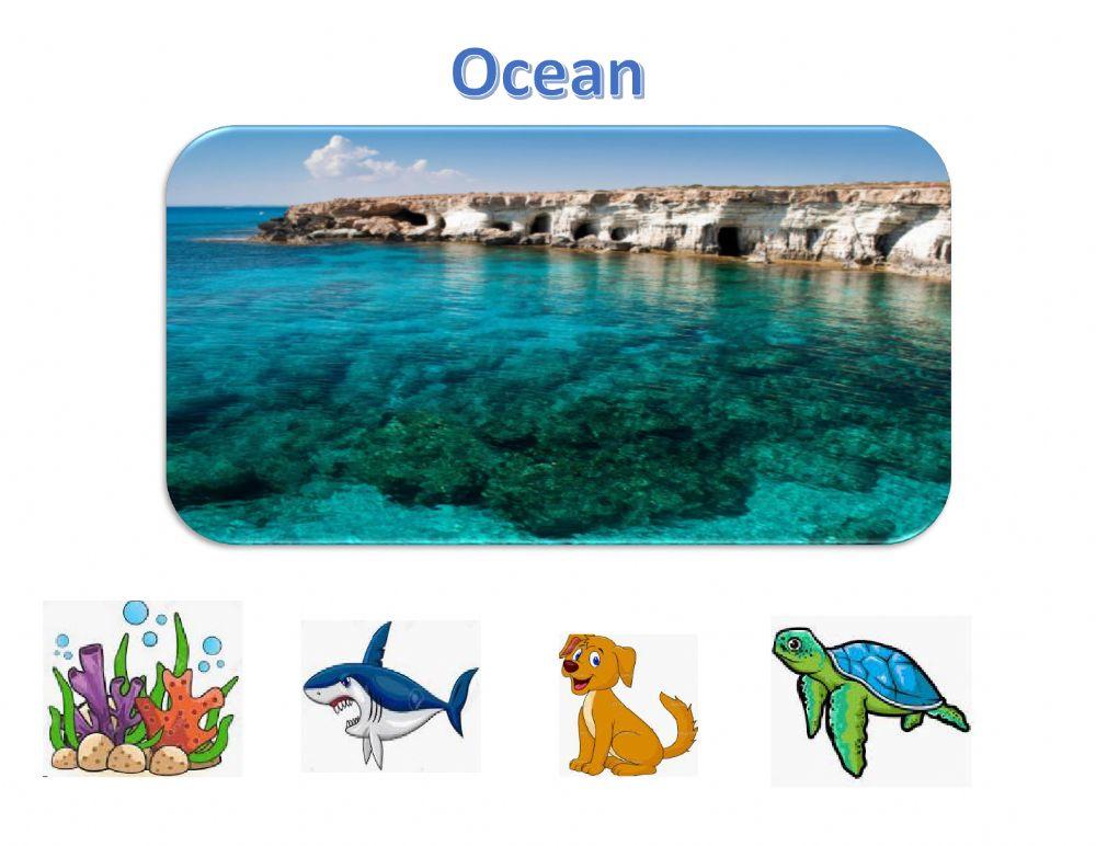 Environments interactive worksheet | Live Worksheets