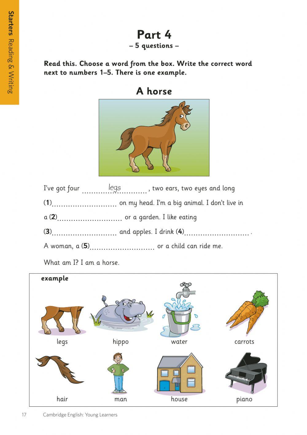 Starters Reading and Writing paper 6287688 | cci3ro