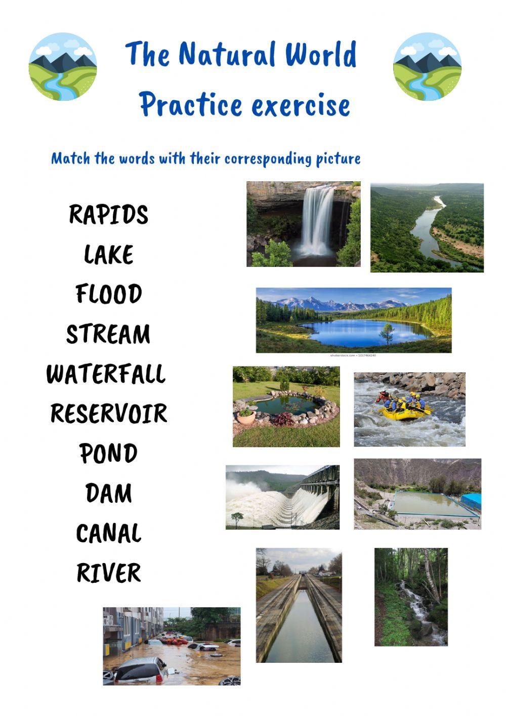 Natural World 2 worksheet | Live Worksheets