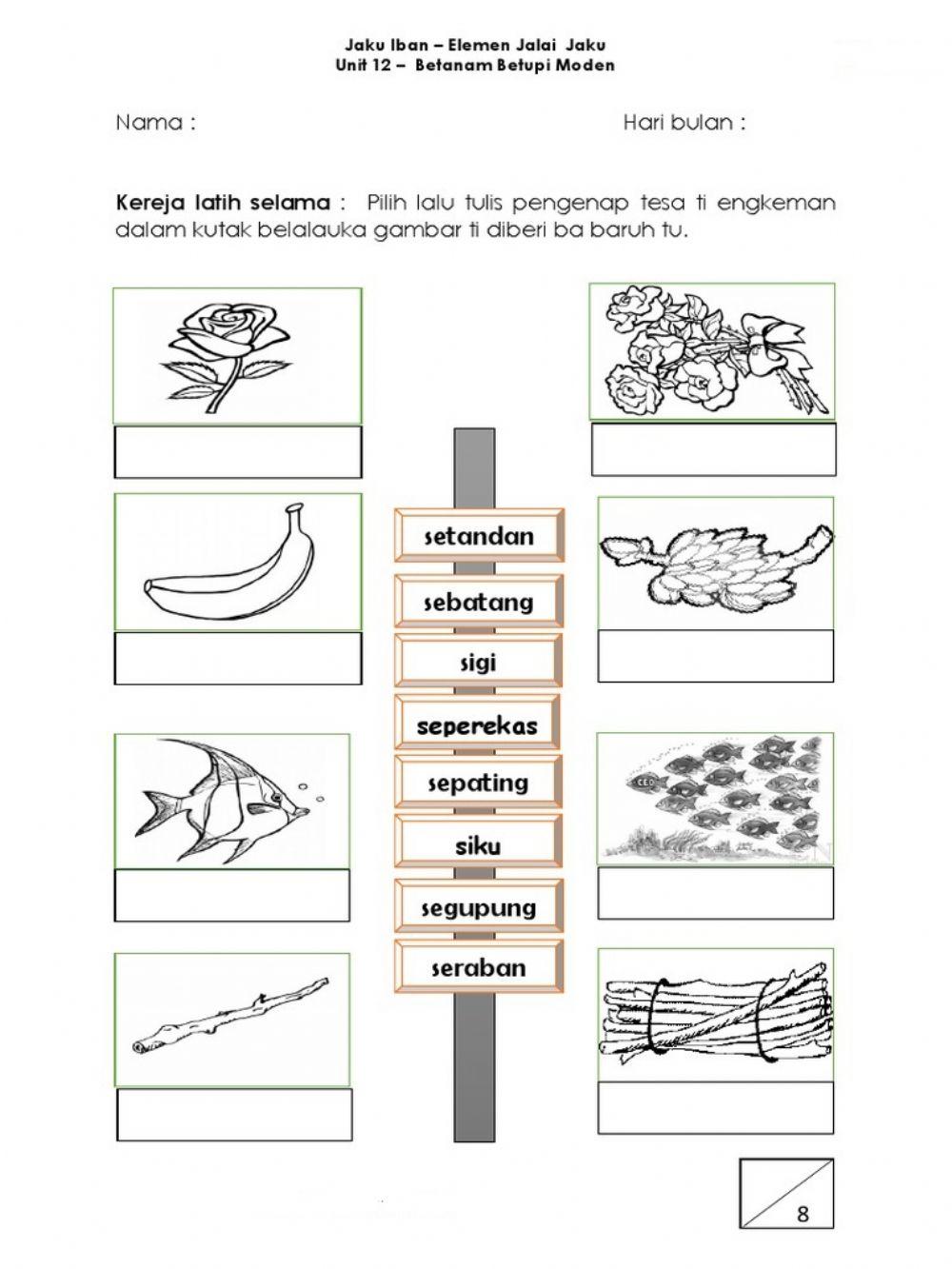 Jaku Iban worksheet | Live Worksheets