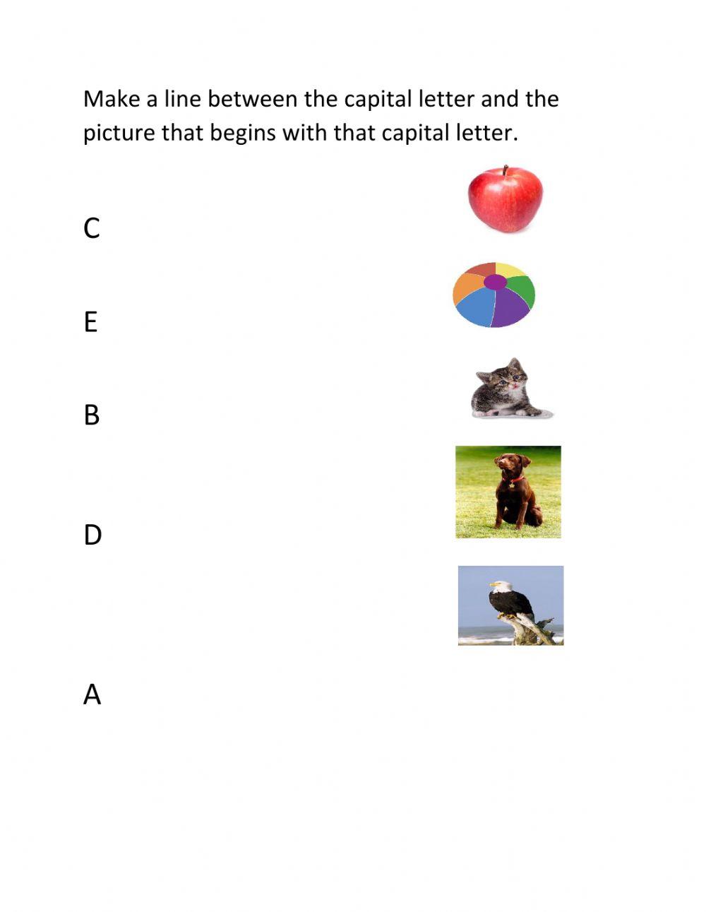 Match Capital Letter to Picture A-E 4536667 | Christopher