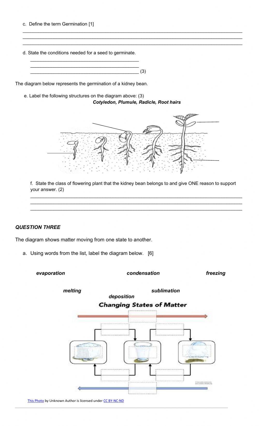 6315547 | Final Exam General Science Grade 8 | Olive