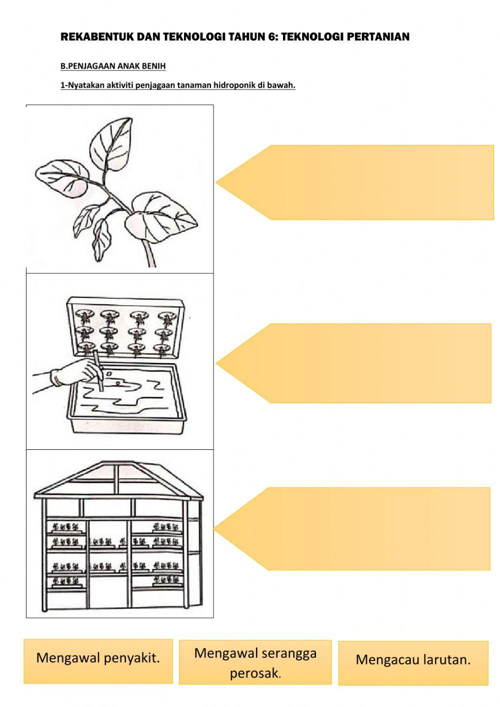 Teknologi Pertanian-Anak Benih-Tuai Hasil worksheet | Live Worksheets