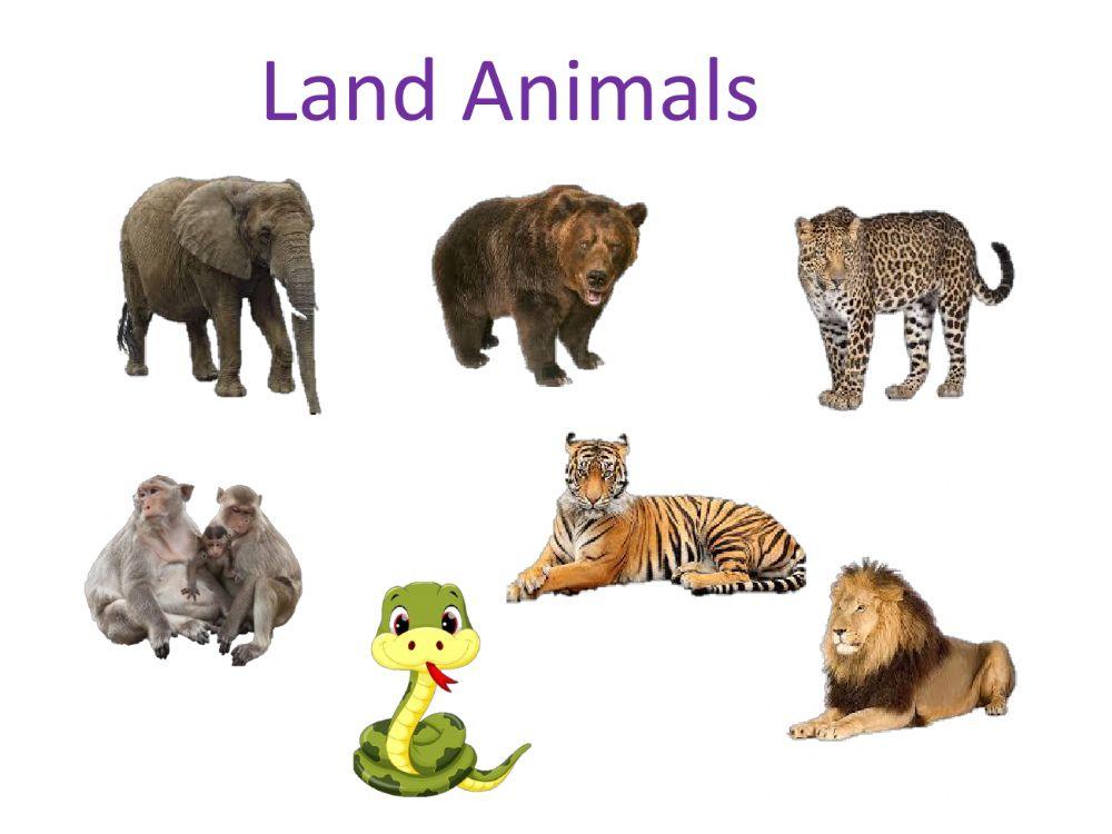 Land and sea animals 585198 | Hmwe | LiveWorksheets