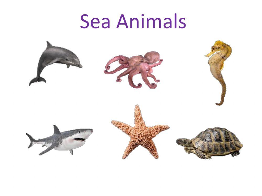 Land and sea animals 585198 | Hmwe | LiveWorksheets