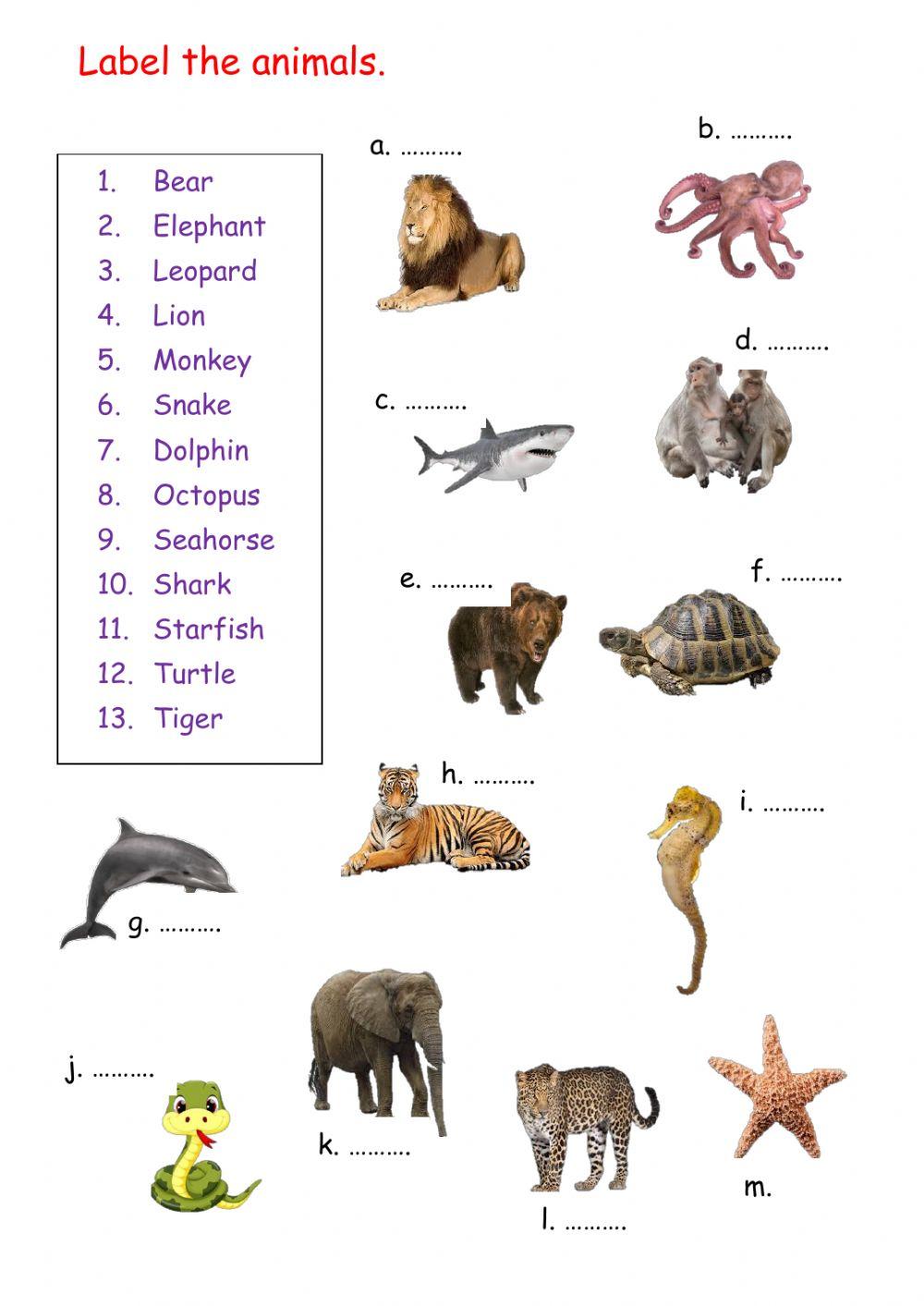 585206 | Land and sea animals | Hmwe | LiveWorksheets