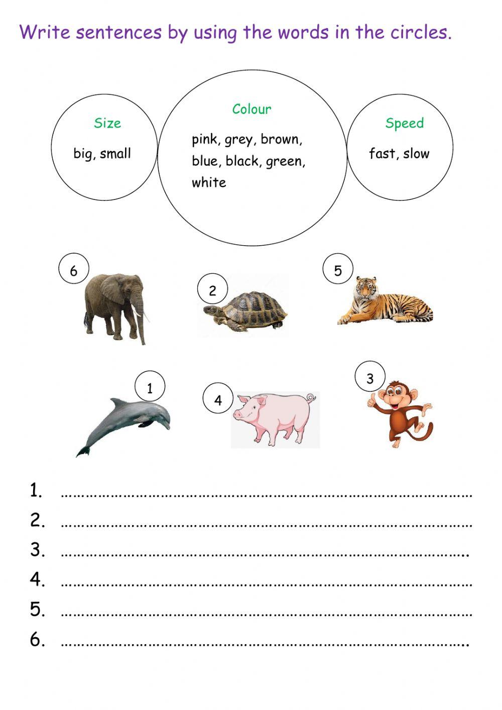 585230 | Land and sea animals | Hmwe | LiveWorksheets
