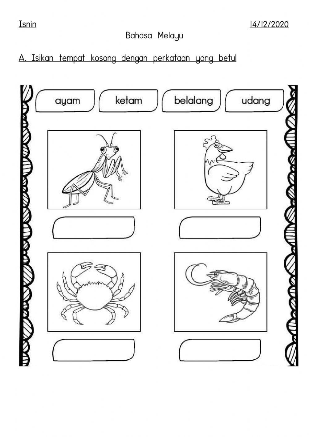 Ejaan | Live Worksheets