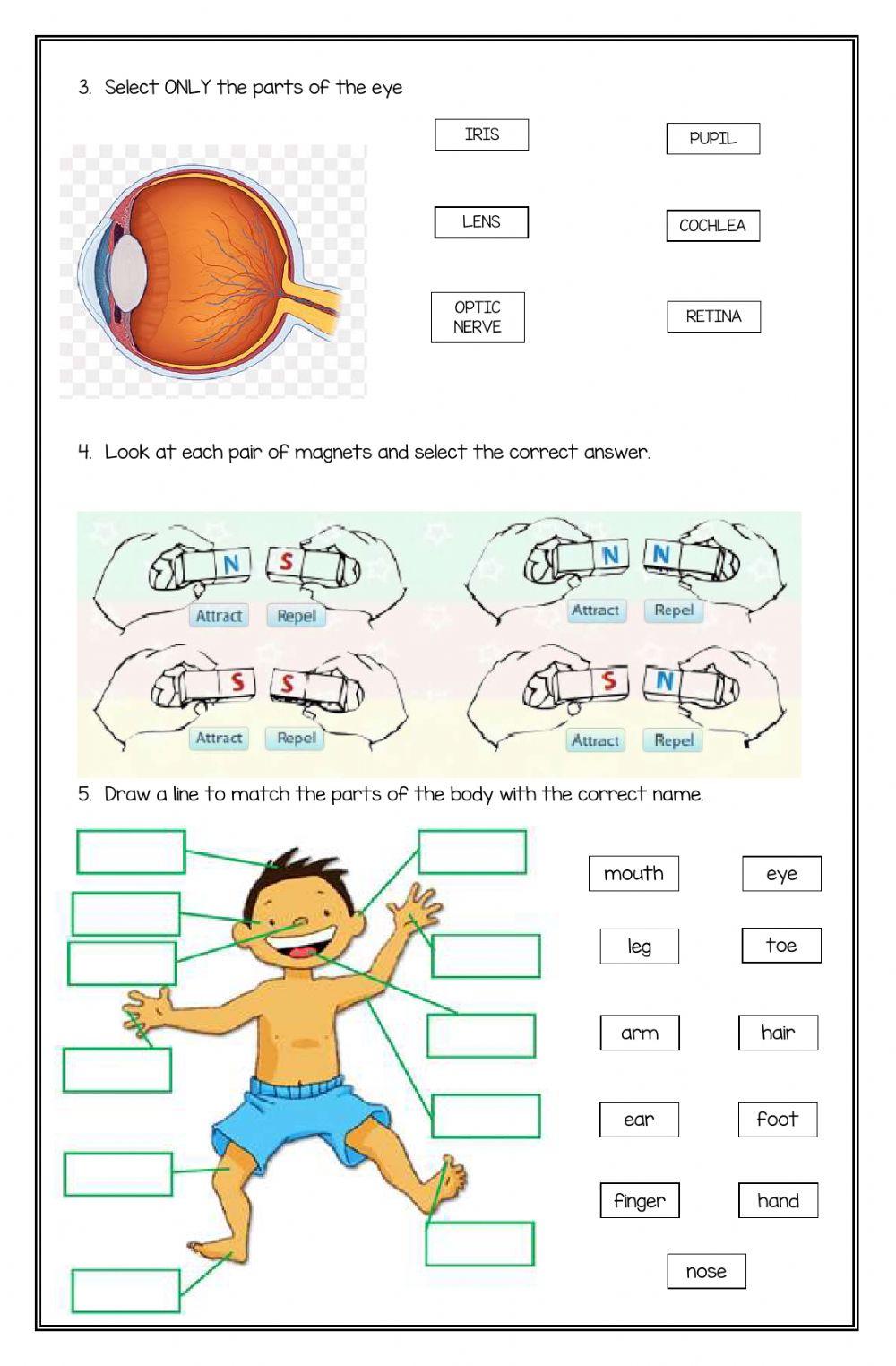Final exam- Third grade- fourth term -2020