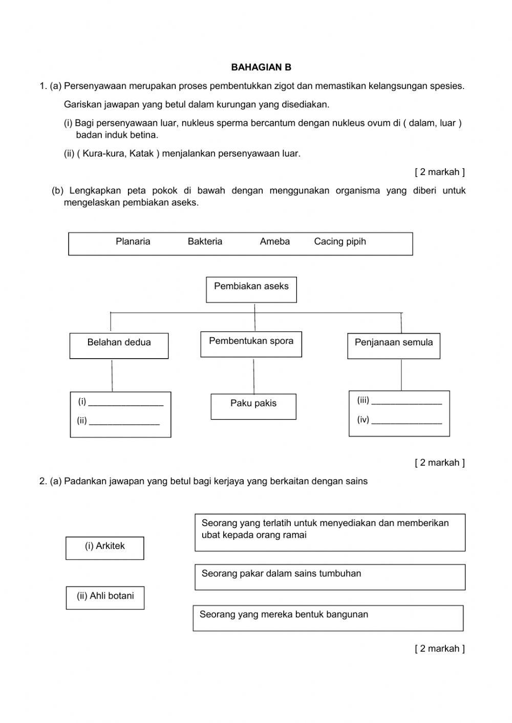 Pat form 1 sains 588593 | AneysFaisol8885 | Live