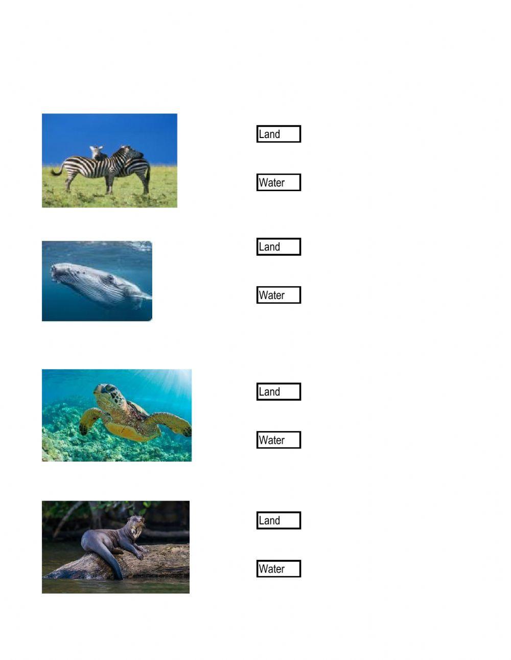 Science Grade 4… | Free Interactive Worksheets | 6320404