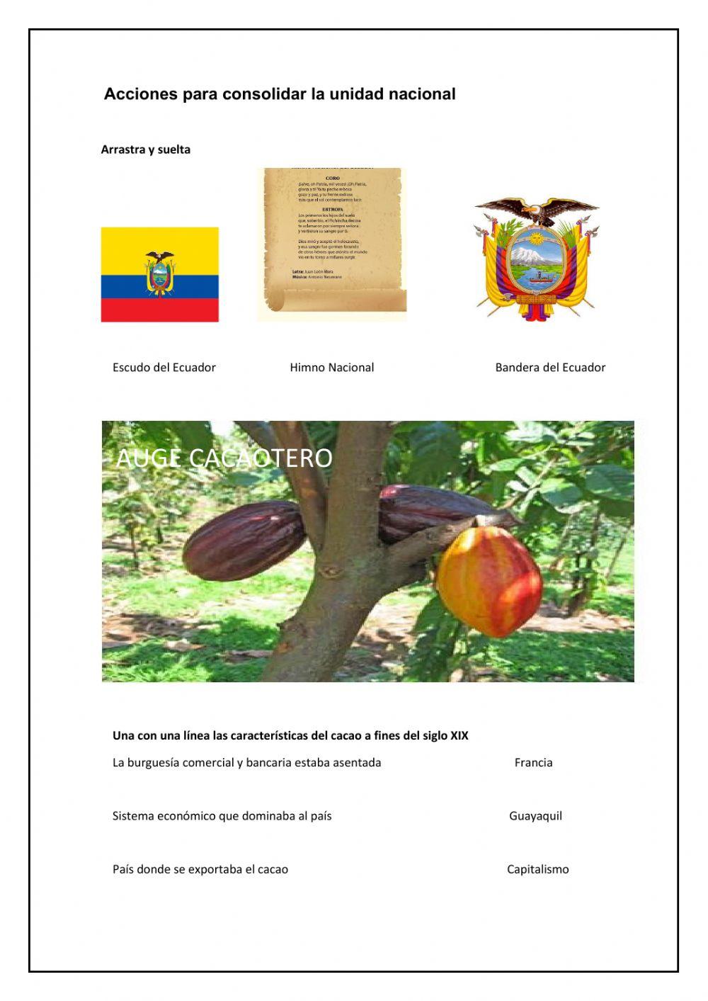 591483 | Auge cacaotero | Ximena Peralta