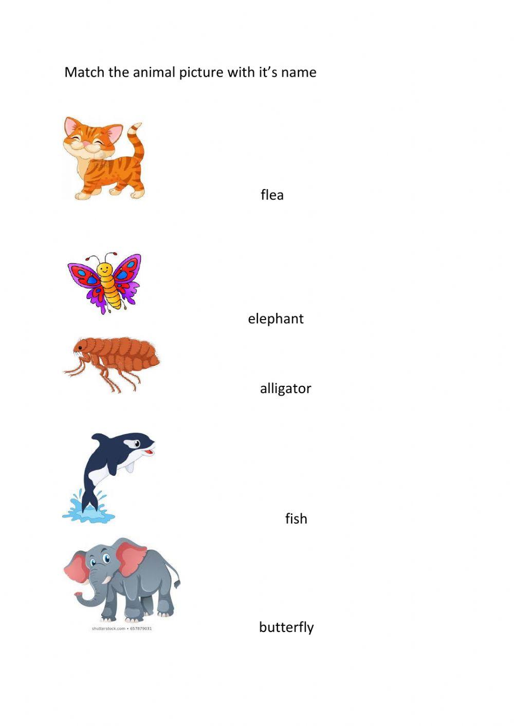 Animals 591711 | SonamVashisht | Live Worksheets