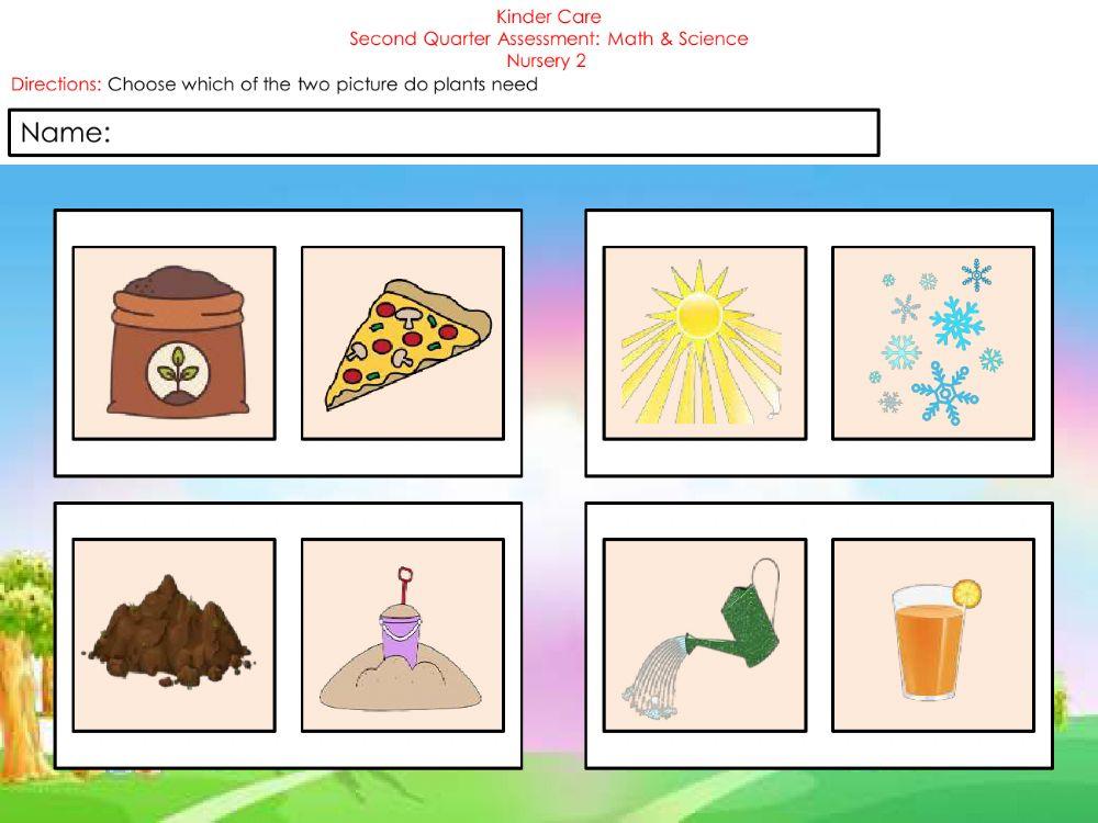 2nd assessment activity for nursery 2 | Live Worksheets
