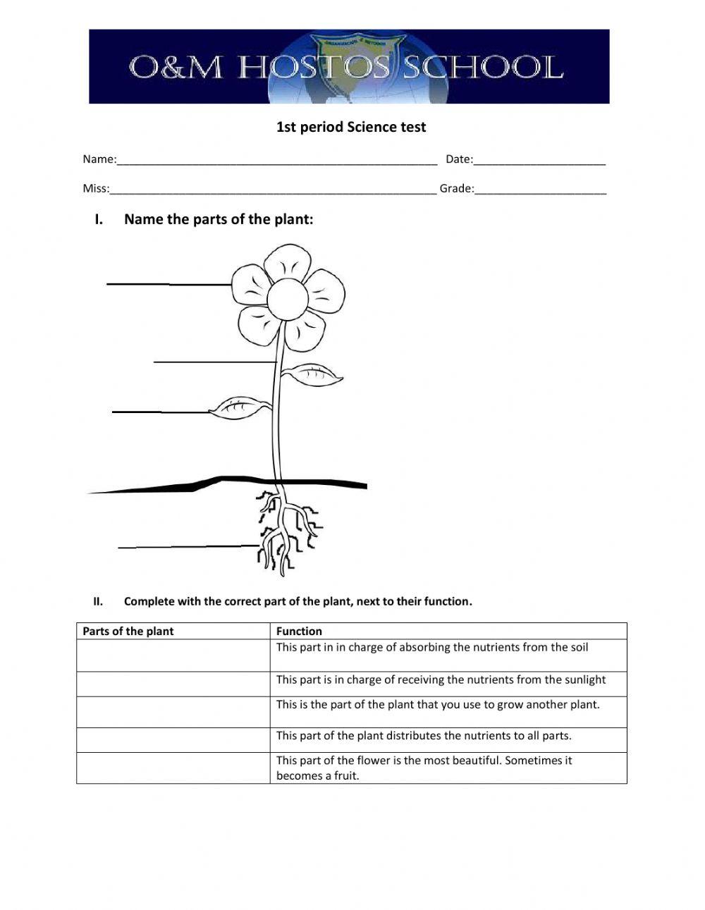 Science G3 December test worksheet | Live Worksheets
