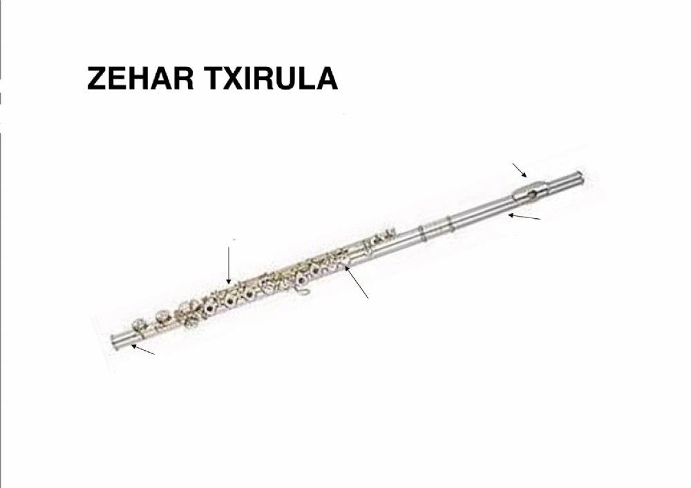 Zehar xirula worksheet | Live Worksheets