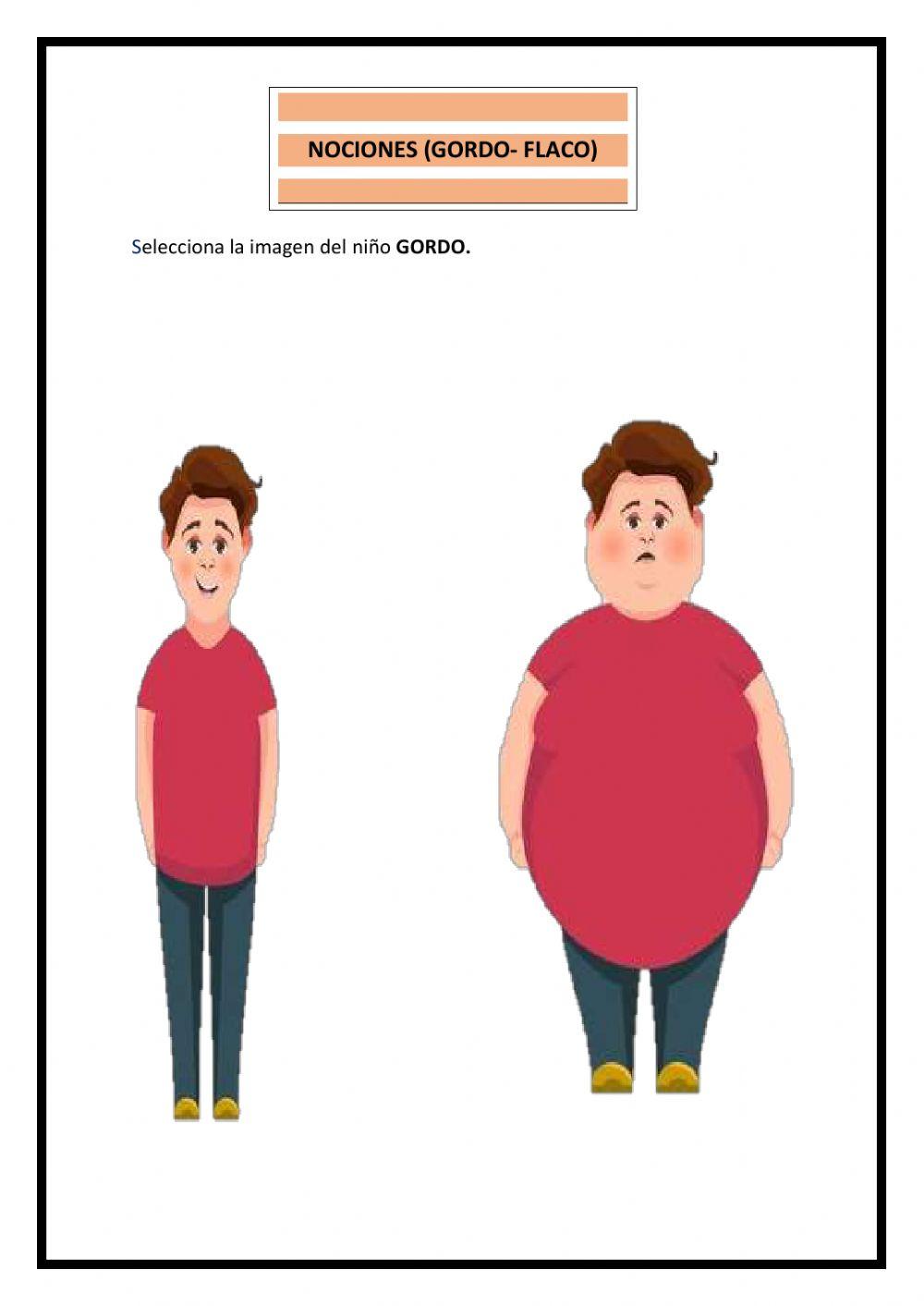 Noción (gordo-flaco) activity | Live Worksheets