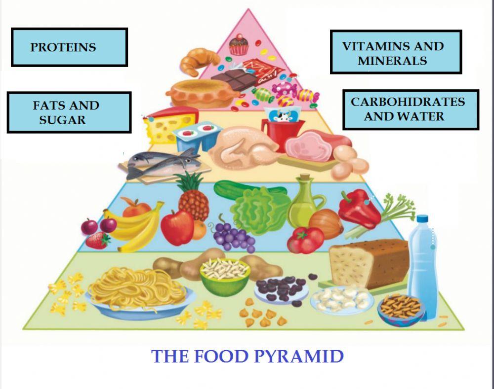 Food pyramid free exercise | Live Worksheets