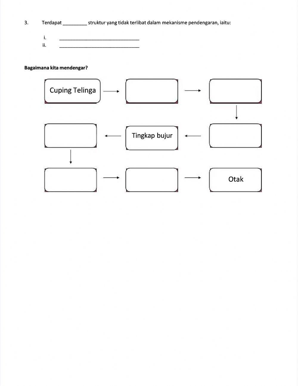 nota sains | Free Interactive Worksheets | 4559579