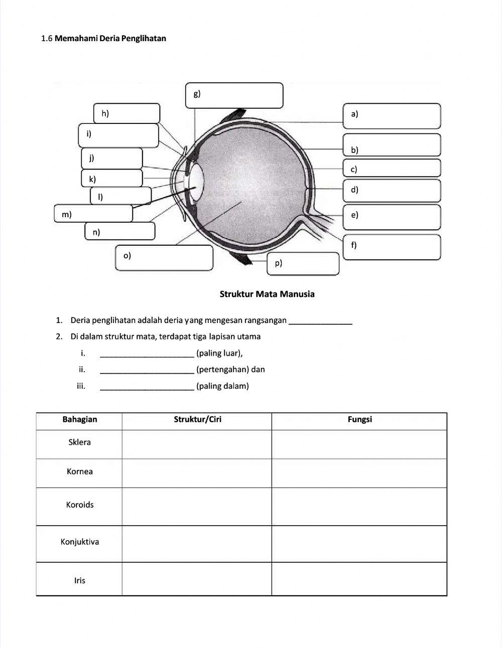nota sains | Free Interactive Worksheets | 4559579