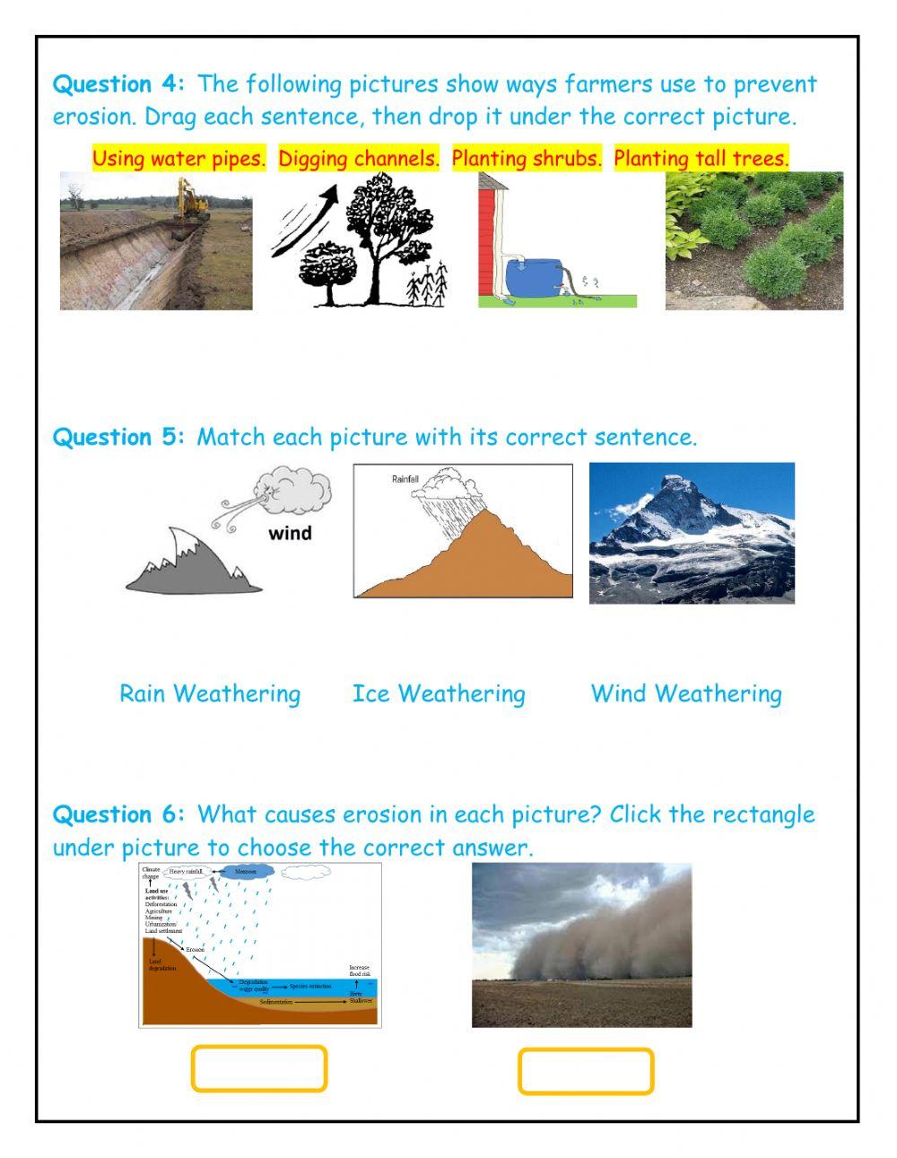 Science online exercise for grade2 | Live Worksheets
