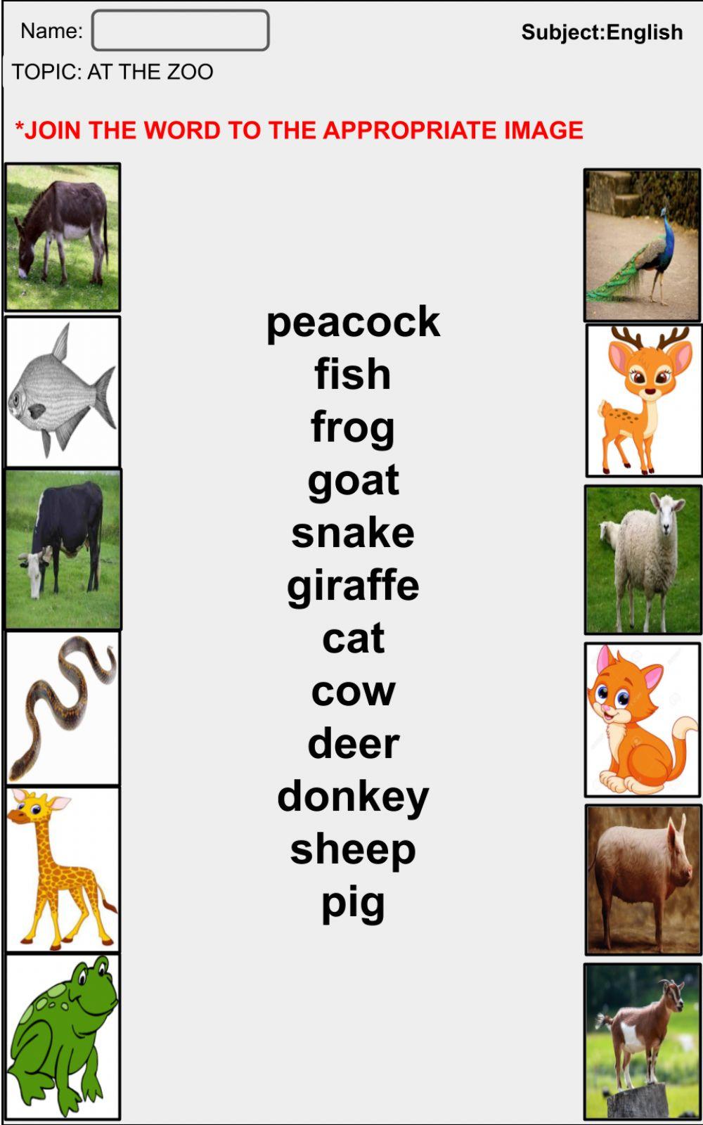 At the zoo 6 worksheet | Live Worksheets