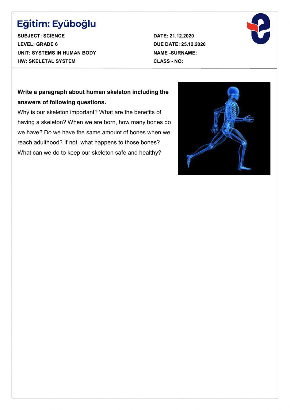 Skeletal System Homework worksheet | Live Worksheets
